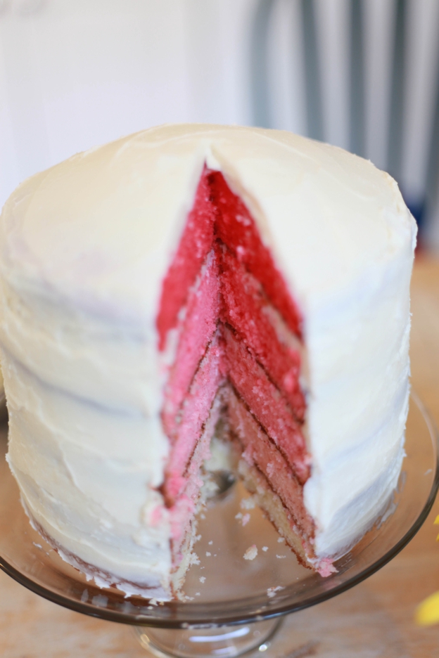 Ombré Red Cake - Kailani K