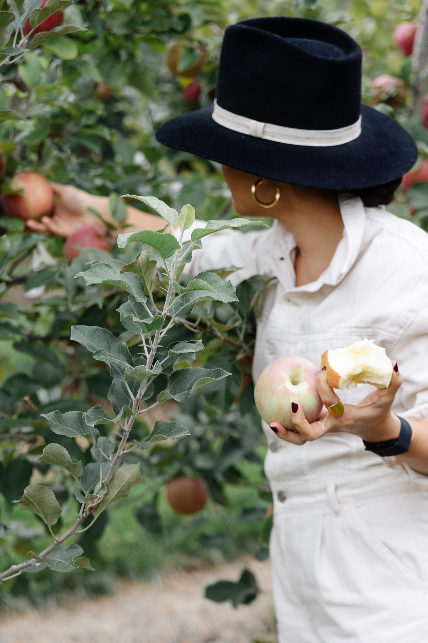 Johnson Locust Apple Farm - Kailani K